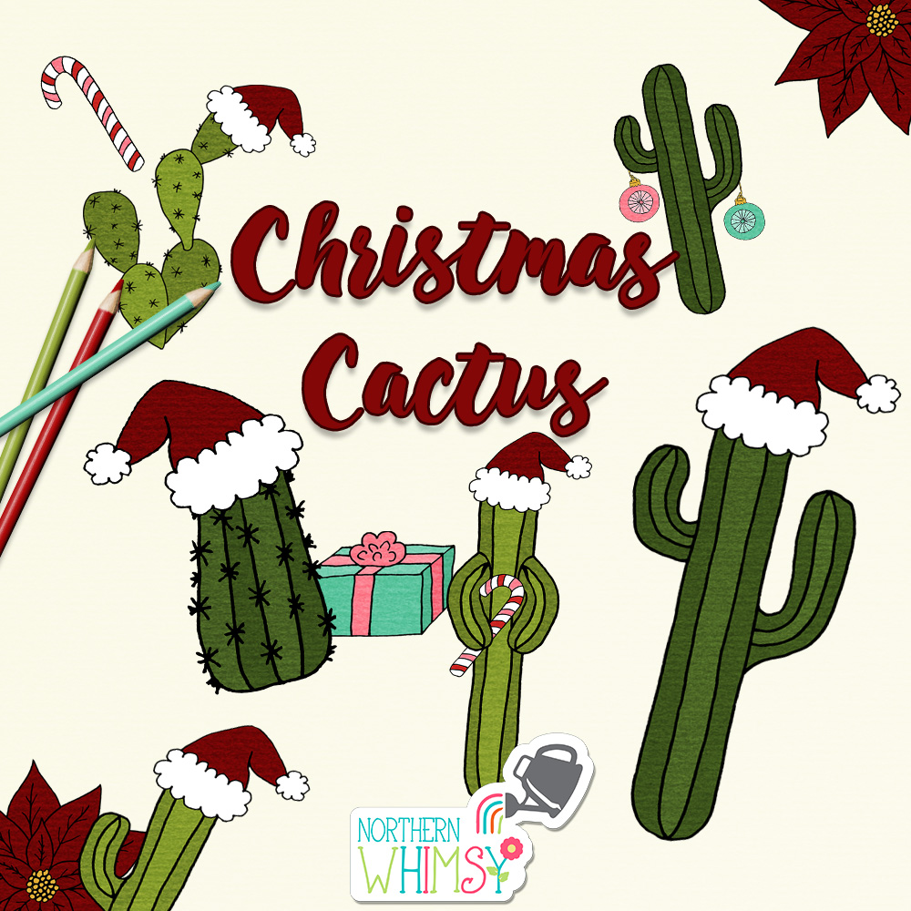 Christmas Clipart - Christmas Cactus Illustrations – Northern Whimsy Design